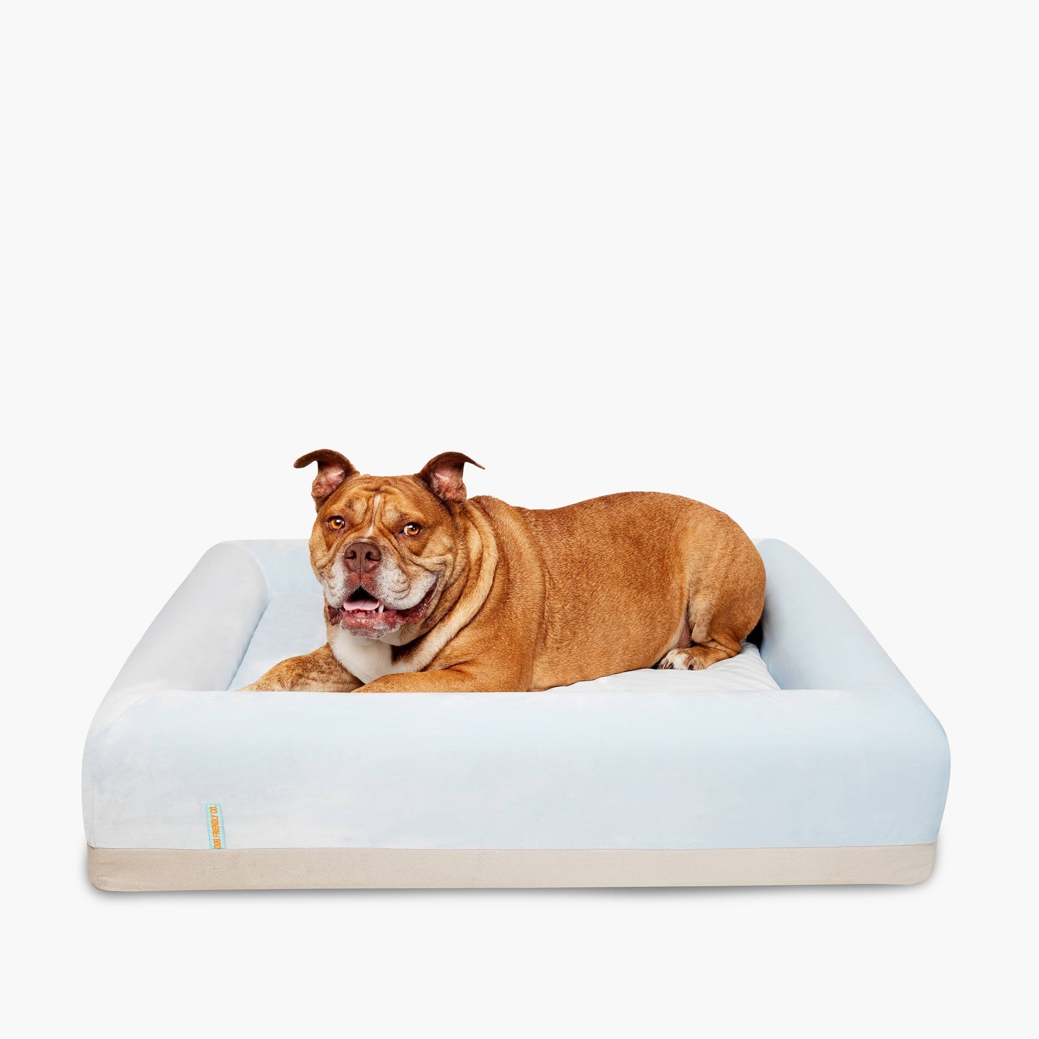 5 Dinge, die Sie beim Kauf eines Hundebetts beachten sollten – Dog ...