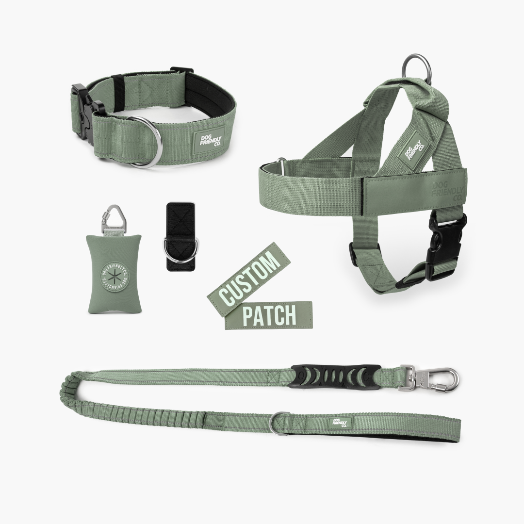Walk Essentials: All Inclusive Dog Walk Bundle | Dog Friendly Co. DE