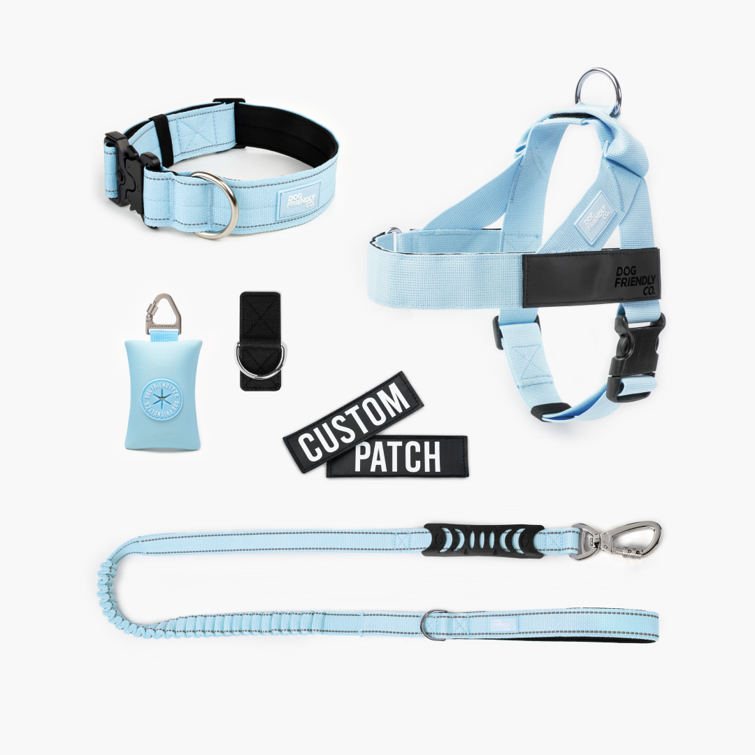 Walk Essentials: All Inclusive Dog Walk Bundle | Dog Friendly Co. DE