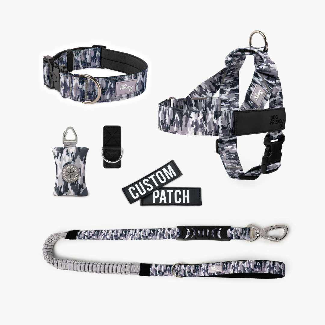 Walk Essentials: All Inclusive Dog Walk Bundle | Dog Friendly Co. DE